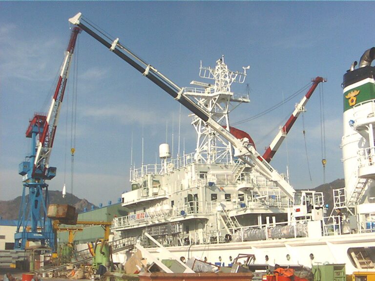 ¿Cuáles son los distintos tipos de grúas que puede encontrar?